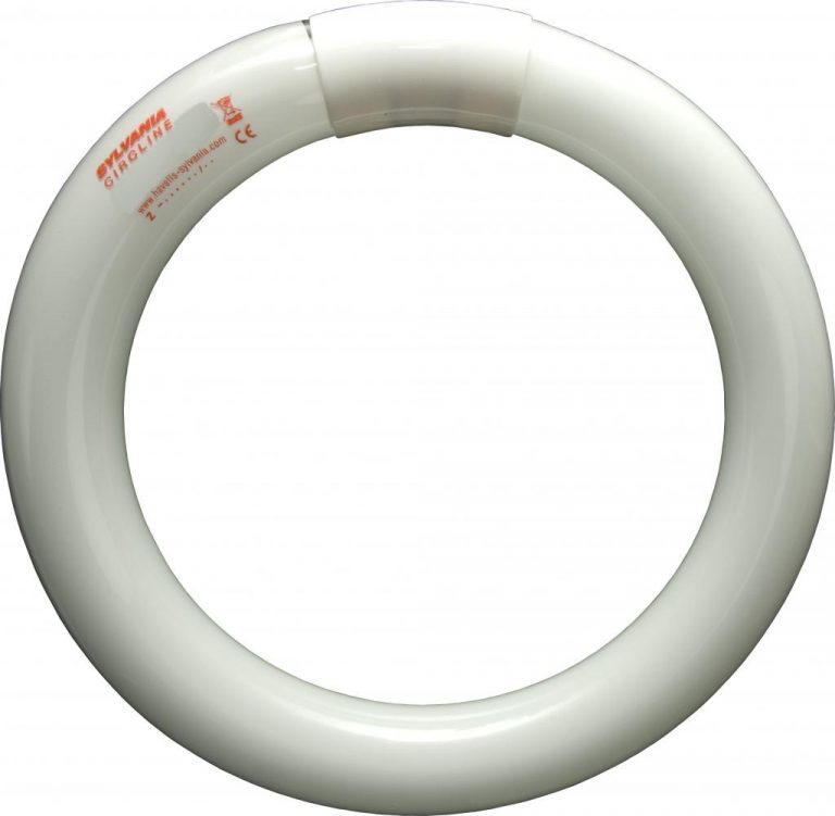 60w T9 Circular Tube Cool White 840 - Light Bulbs 2 U